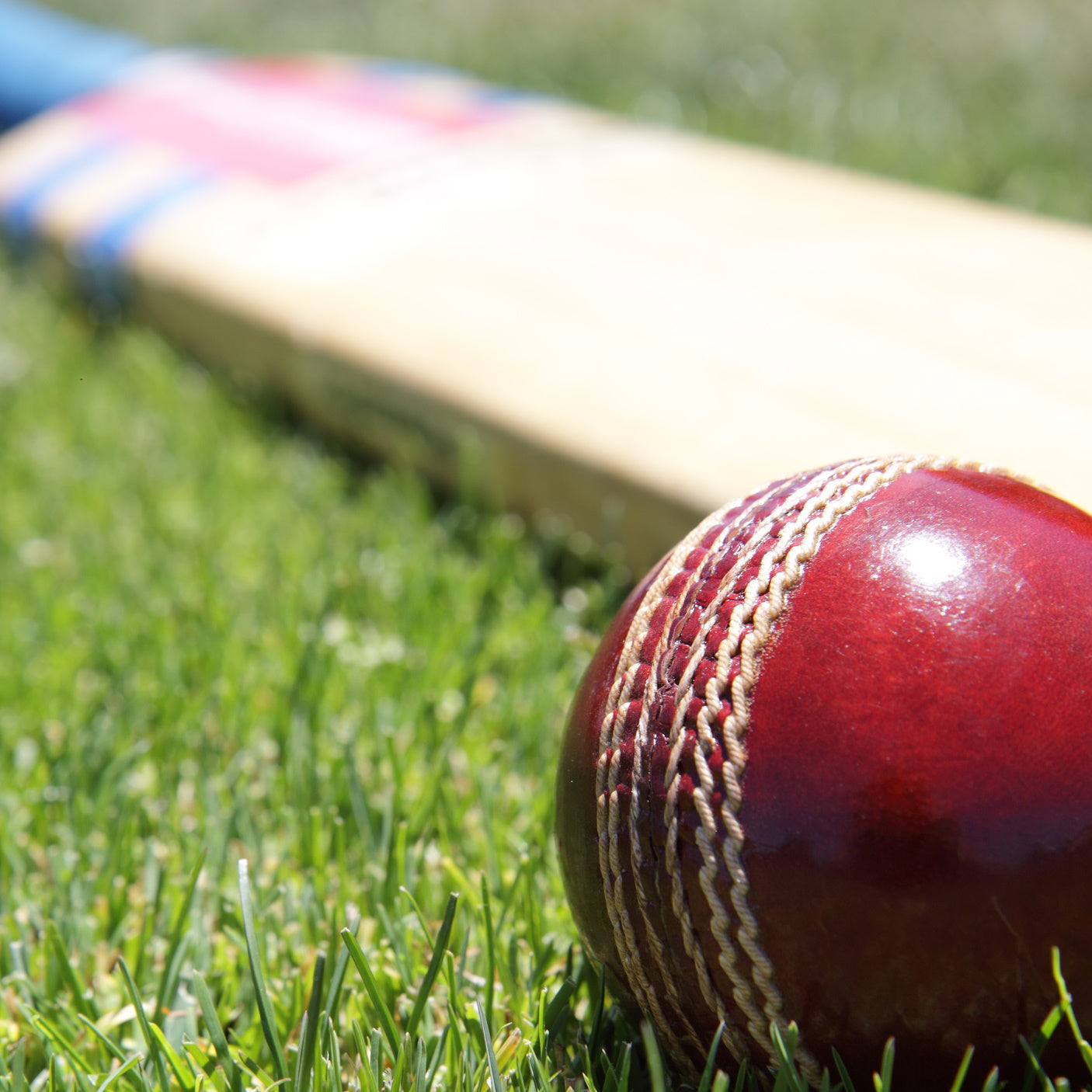 Cricket Balls – Edsports NZ